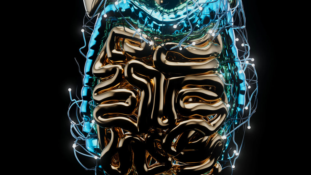 Gut-Skin-Muscle Axis: Using Vitamin C to Synchronize Gut Health and Po ...