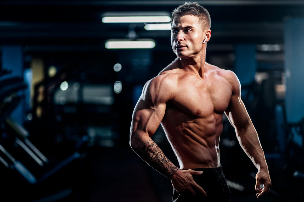 The Role of Amino Acids in Building Lean Muscle Mass – MRI Performance
